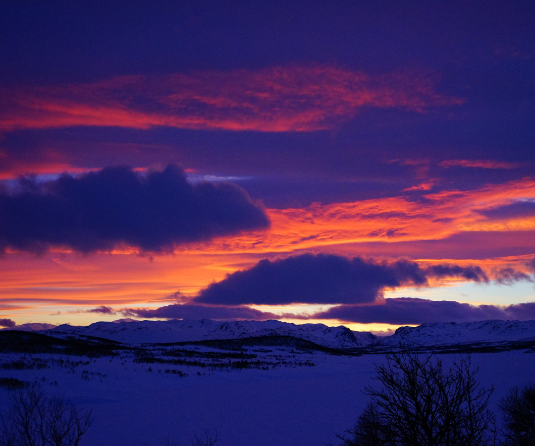 Paid Search - Kathy Bennett Marketing